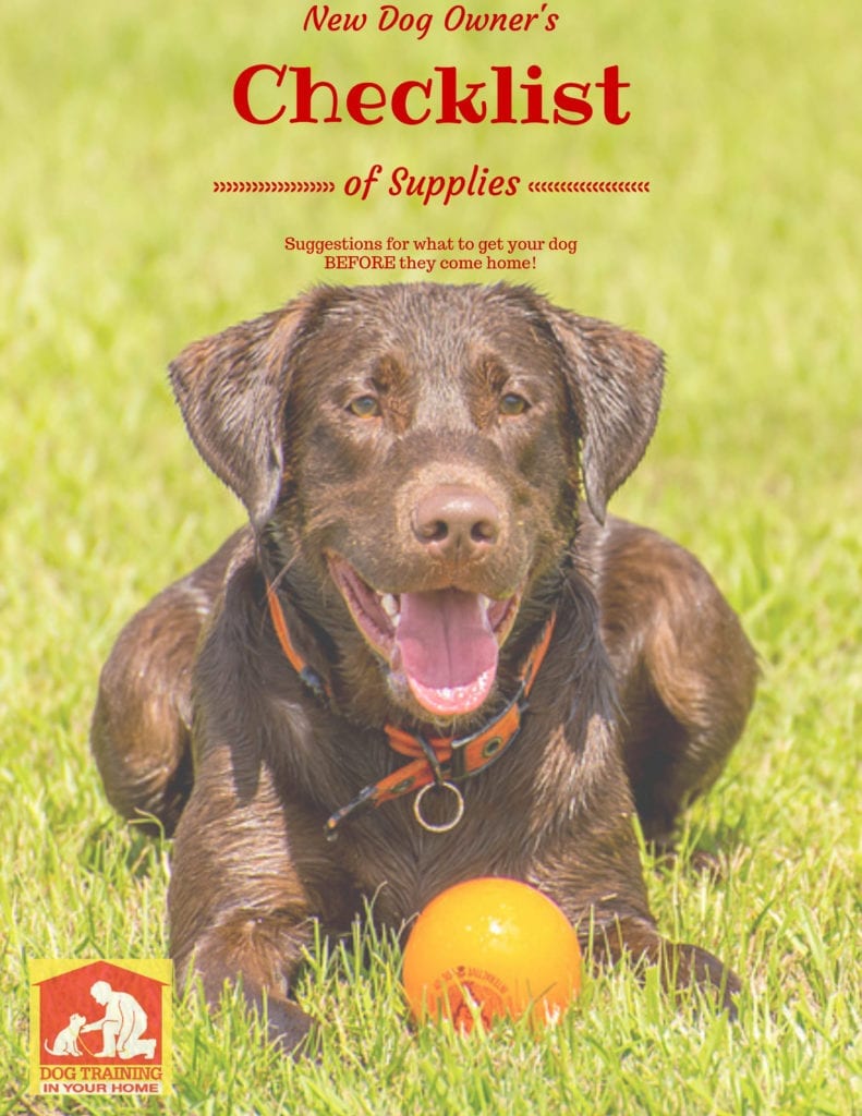 6 Reasons Basic Obedience Helps Your Dog And You